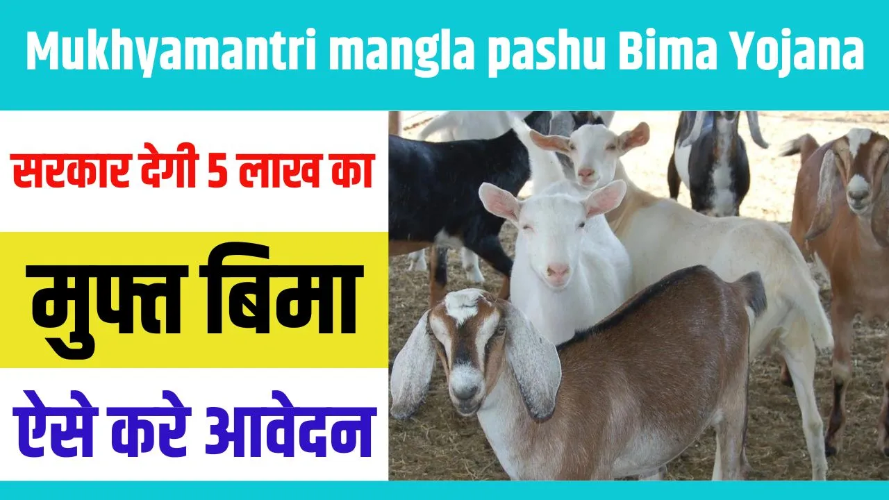 Mukhyamantri Mangla Pashu Bima Yojana: मुख्यमंत्री मंगला पशु बीमा योजना के अंतर्गत ₹500000 तक का ...