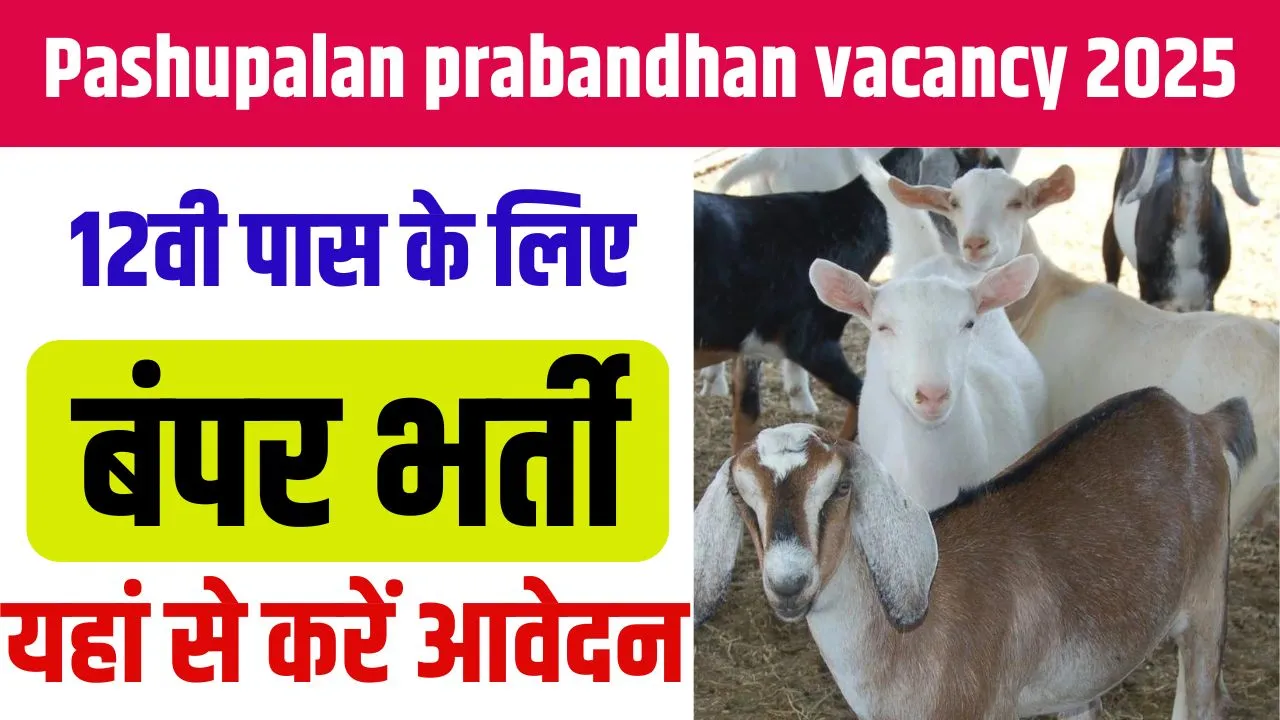 Pashupalan Prabandhan Vacancy 2025: पशुपालन विभाग के द्वारा निकाली गई ...